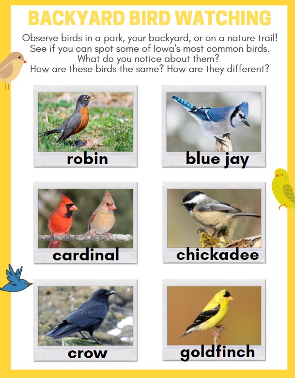 Bird Storytime | Waukee Public Library